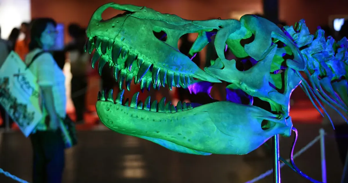 70 milyon yıllık kayıp dinozor evine dönüyor | NTV Haber