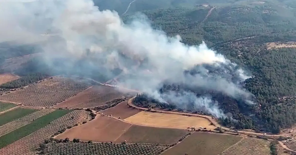 Manisa Gölmarmara'daki yangın kontrol altına alındı | NTV Haber