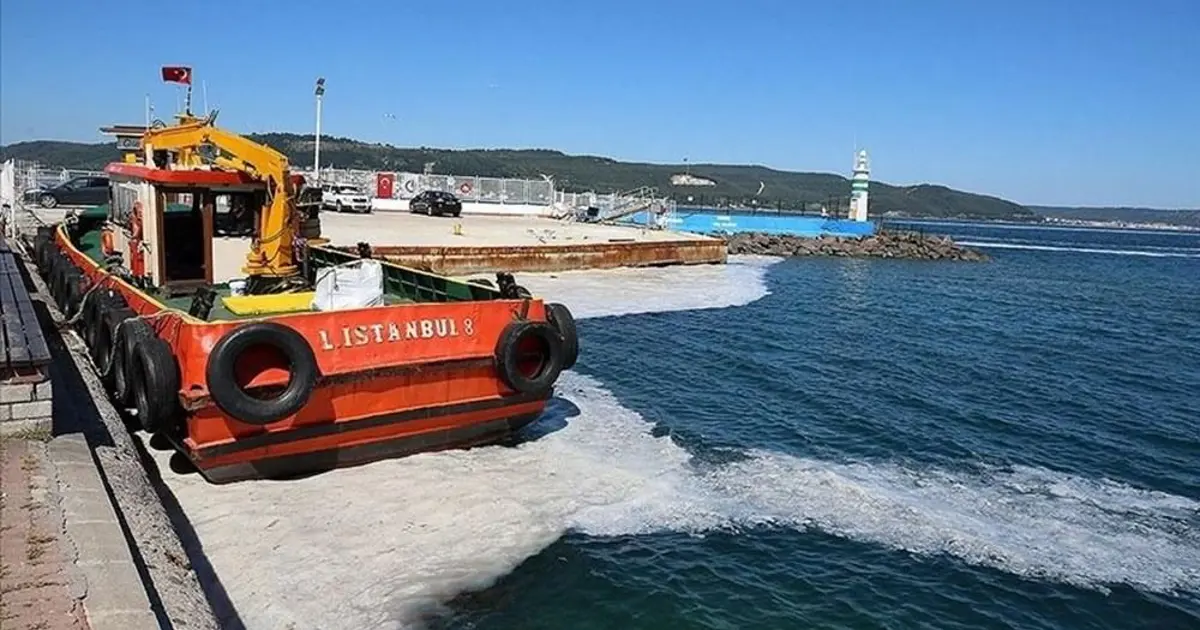 Marmara Denizi'ndeki sessiz tehlike için bakanlık harekete geçti | NTV ...