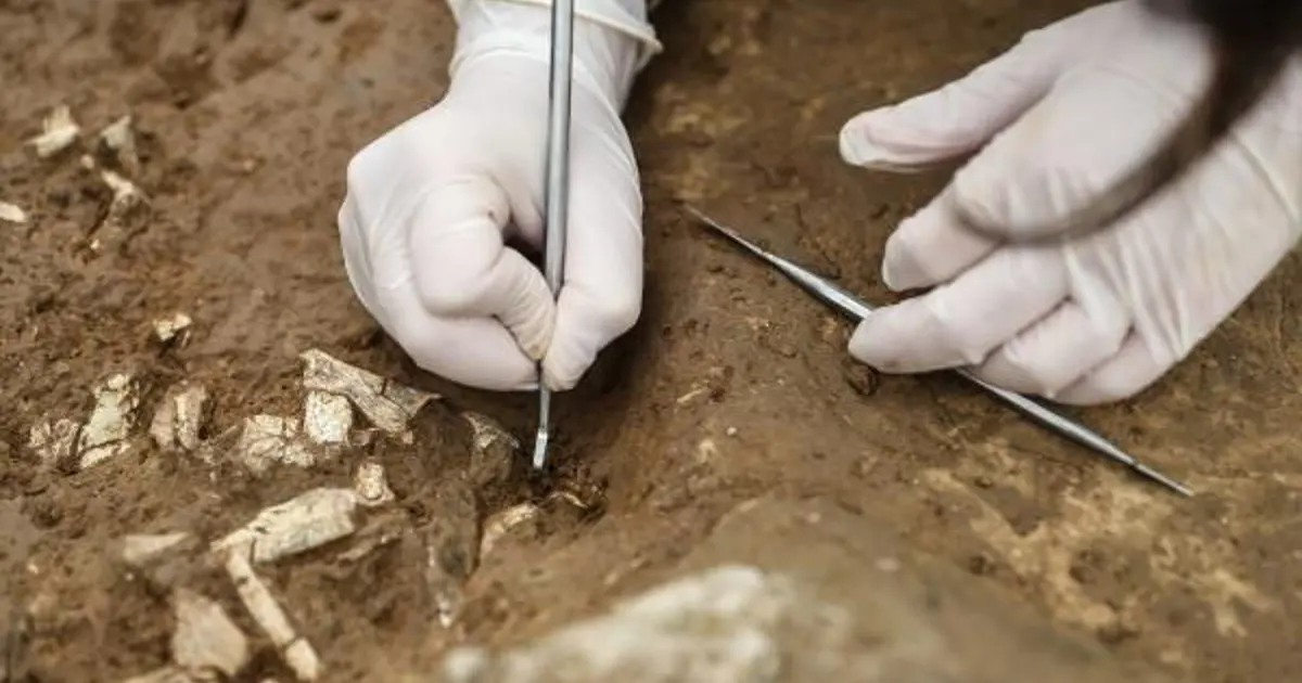 Beşiktaş'a 'arkeoloji üssü' kuruldu: Dünya göç haritasını ...