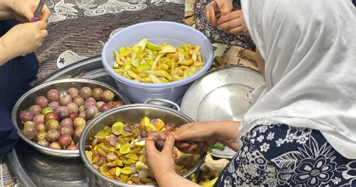 Dut, erik, kayısı ve elmadan yapılıyor: Güneşte kurutulup kış için ...