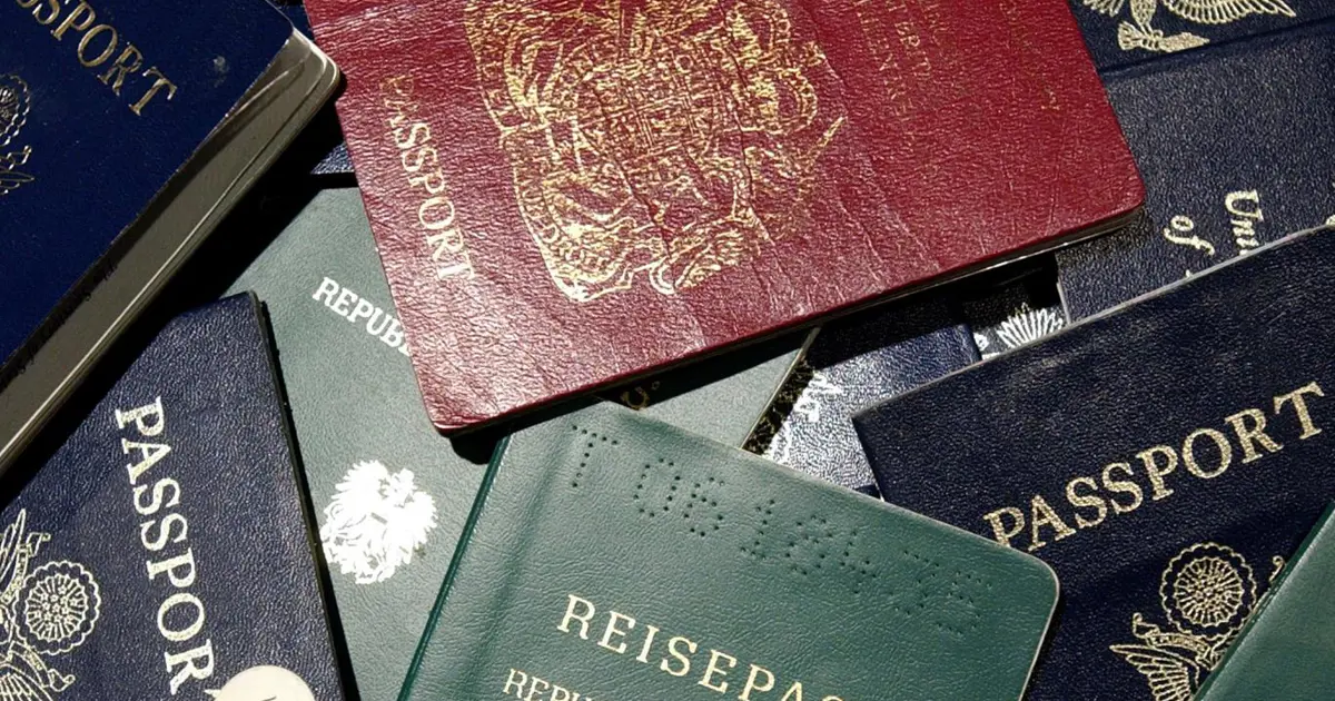 Pasaportlar neden sadece 4 renk? | NTV Haber