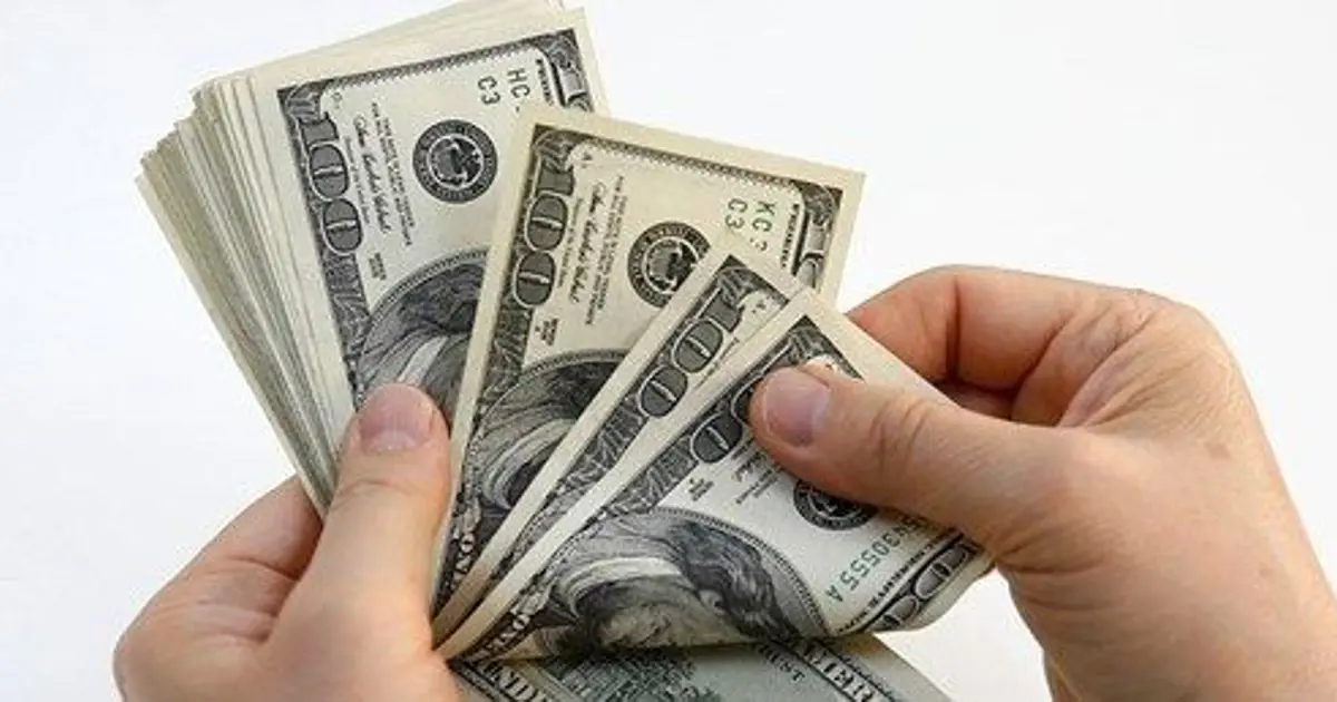 Dolar neden yükseliyor, nasıl düşer? | NTV Haber