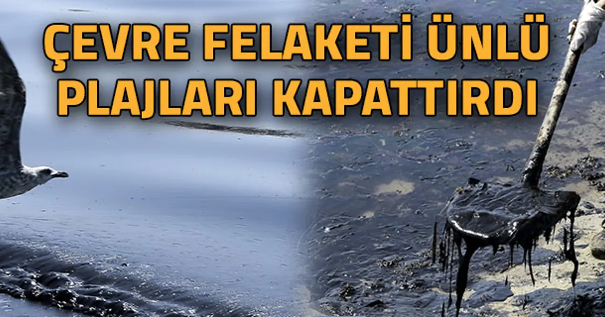 Çevre felaketi ünlü plajları kapattırdı | NTV Haber