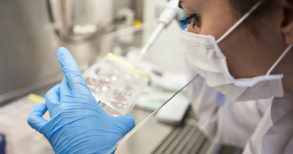 Omicron ve Delta varyantlarının birleşimi: Delmicron nedir? Omicron’dan ...