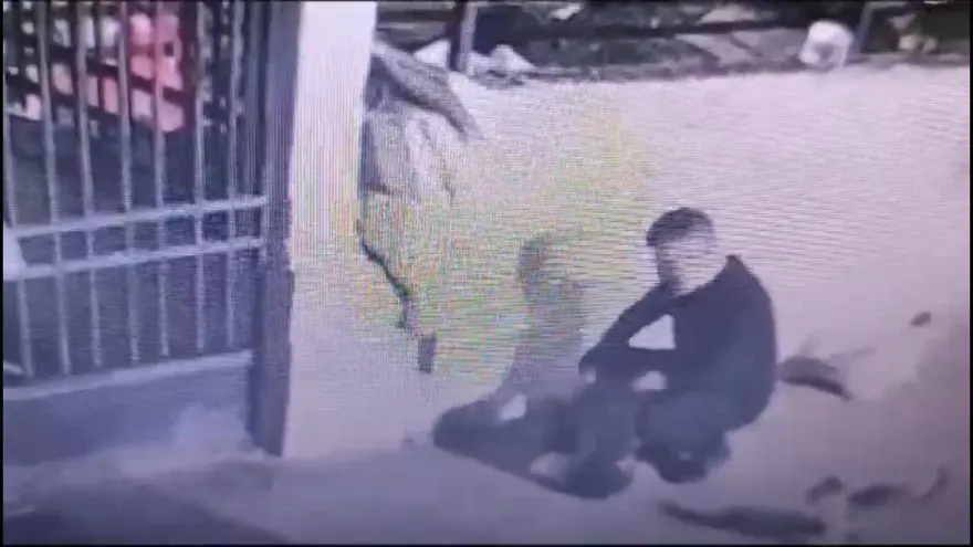 “Mama veriyorum” demişti, evinden 8 ölü kedi çıktı | NTV Haber