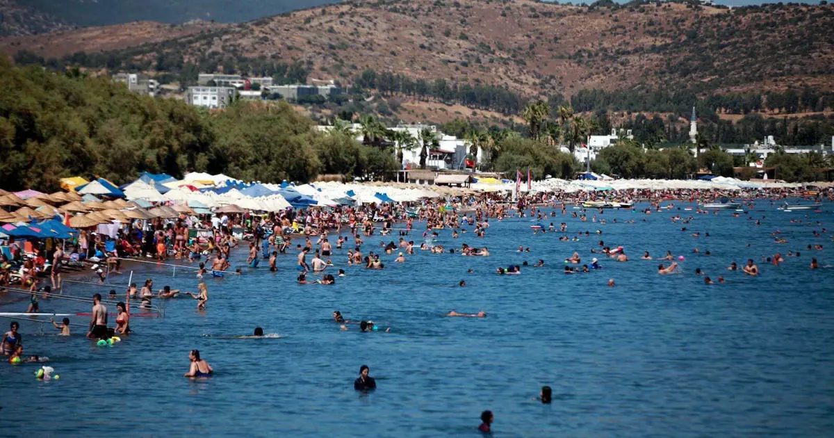 Bodrum'da plaja giriş 2 bin liradan başlıyor | NTV Haber