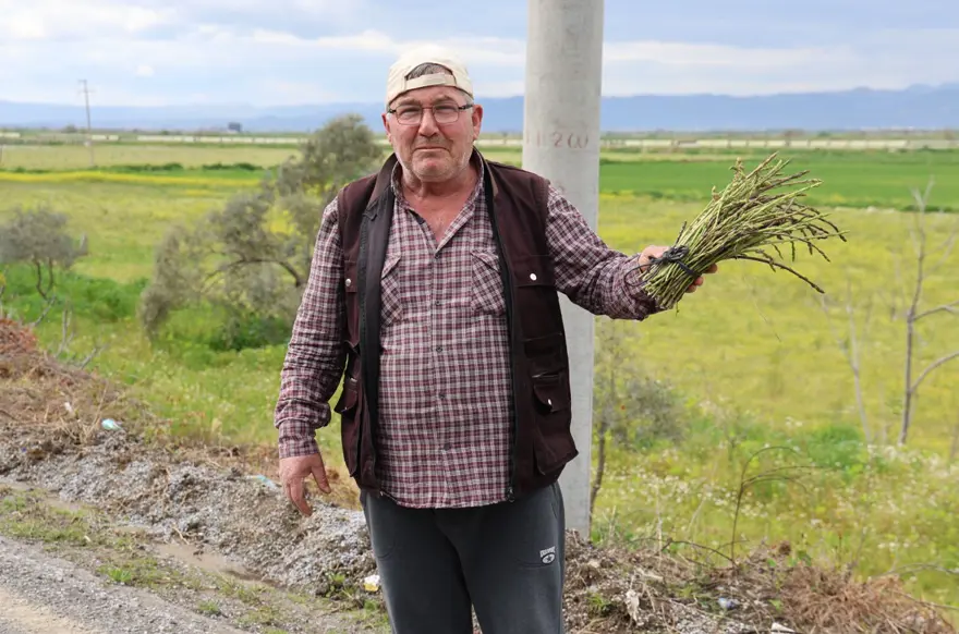 Topladığı şifalı bitkiyi yoksullara dağıtıyor. Havalar ısınınca yeniden ...