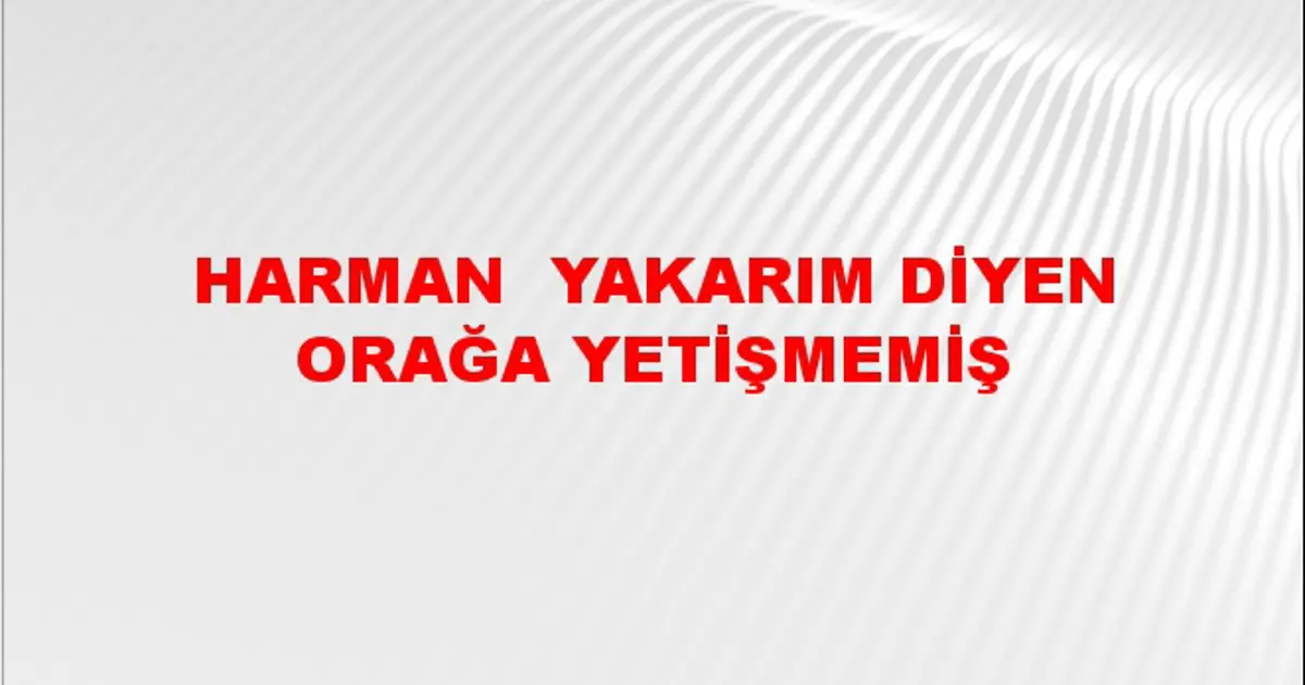Harman (harmanını) yakarım diyen orağa yetişmemiş Atasözünün Anlamı Ne ...
