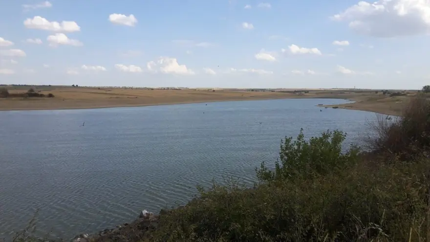 Edirne’de Kurtbey Göleti’nde korkutan görüntü | NTV Haber