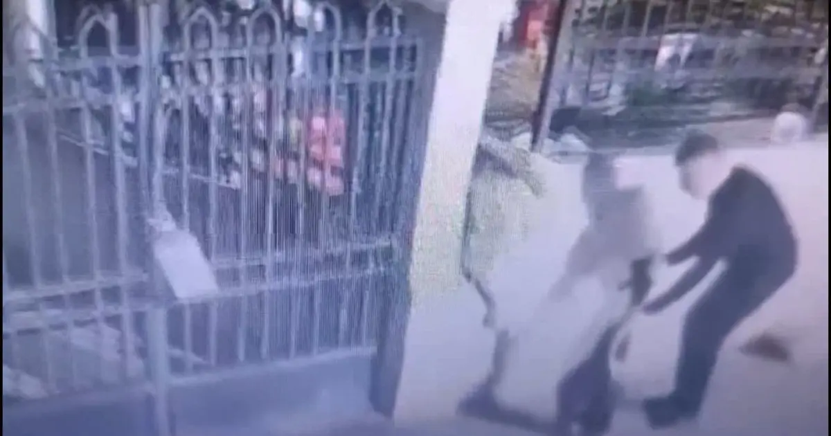 “Mama veriyorum” demişti, evinden 8 ölü kedi çıktı | NTV Haber