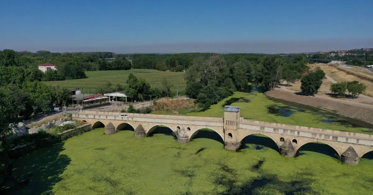 Tunca Nehri'nde korkutan görüntü: Yosun ve su mercimeklerinden su ...