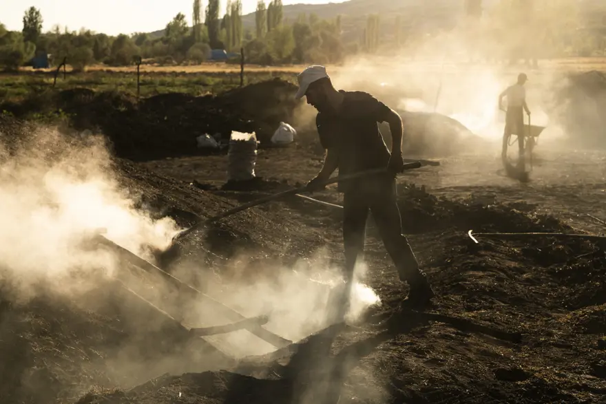 İnsanlar tarafından fark edilmiyor: Sessiz katil organları etkiliyor | NTV Haber