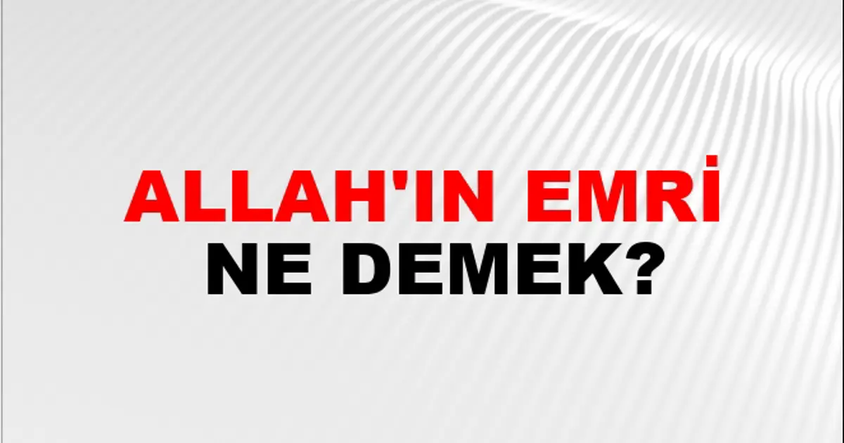 Allah'ın Emri Nasıl Yazılır? | NTV Haber