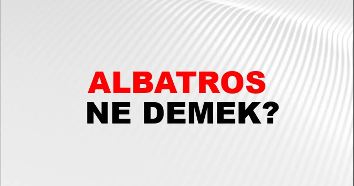 Albatros Eş Anlamlısı - Albatros Kelimesinin Eş Anlamlısı Nedir? | NTV ...