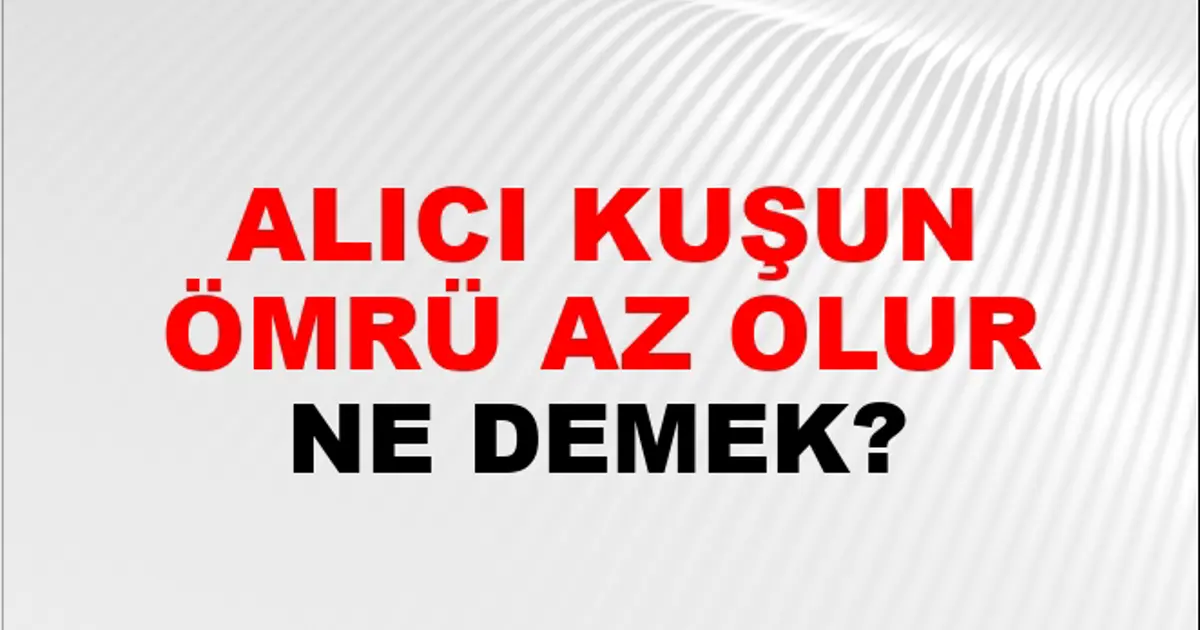 Alıcı Kuşun Ömrü Az Olur Ne Demek? Alıcı Kuşun Ömrü Az Olur Kelimesinin ...