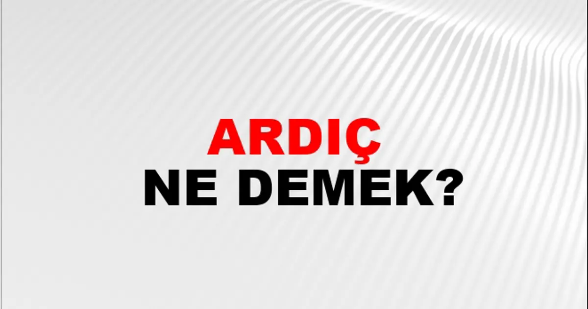 Ardıç Eş Anlamlısı - Ardıç Kelimesinin Eş Anlamlısı Nedir? | NTV Haber