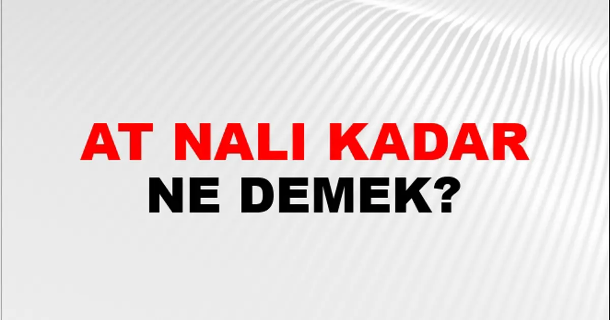At Nalı Kadar Ne Demek? At Nalı Kadar Kelimesinin TDK Sözlük Anlamı ...