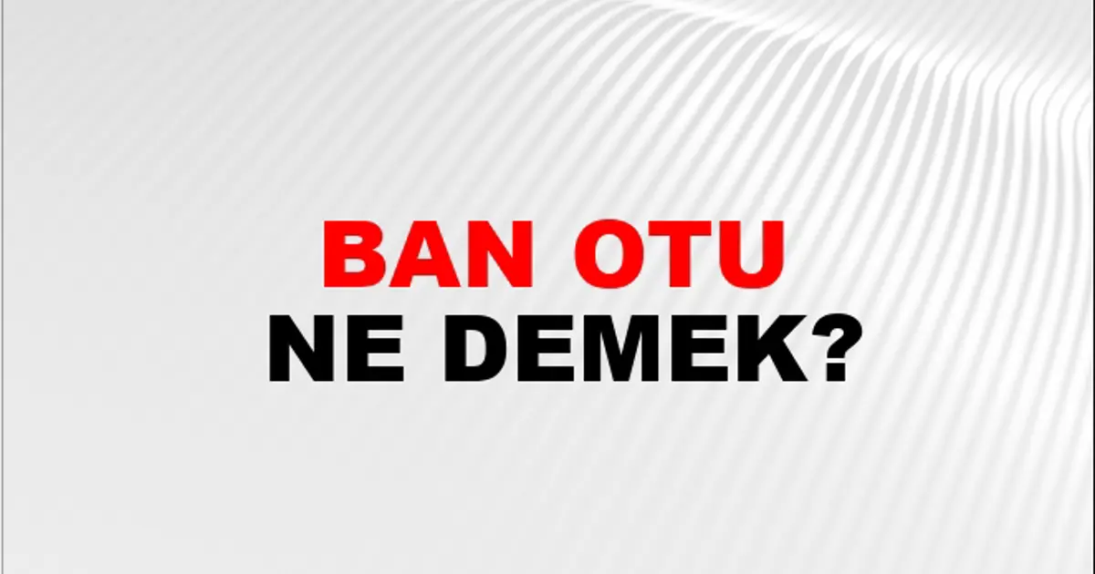 Ban Otu Nasıl Yazılır? | NTV Haber