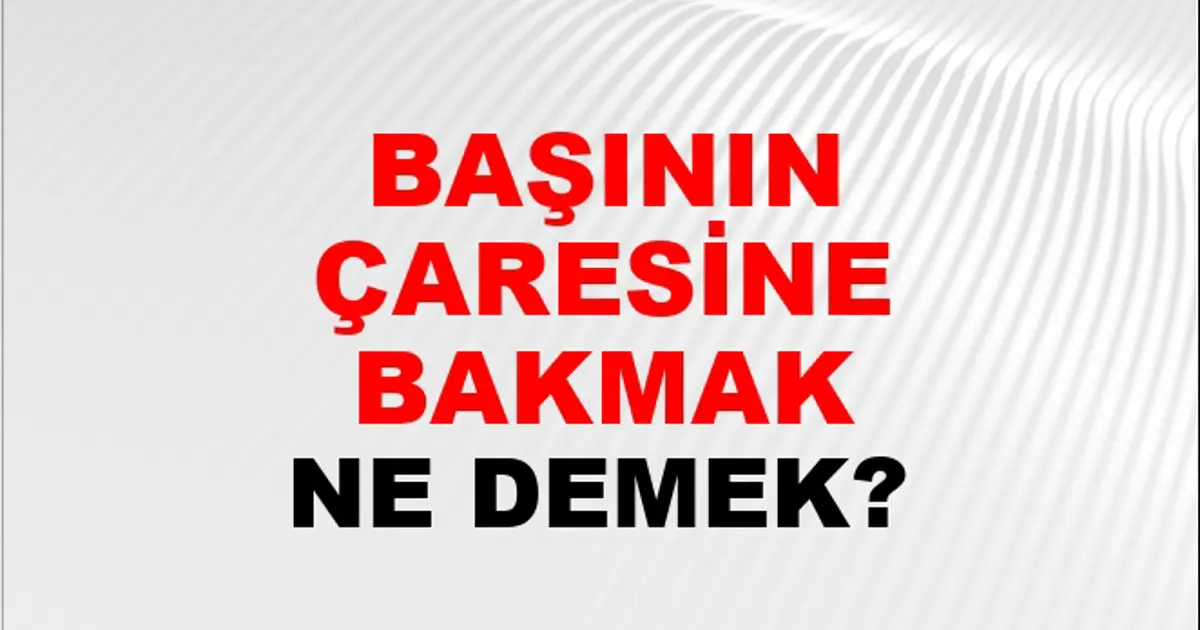 Başının Çaresine Bakmak Ne Demek? Başının Çaresine Bakmak Kelimesinin ...
