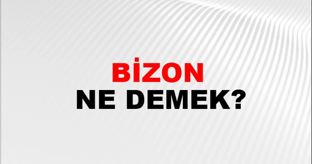 Bizon Eş Anlamlısı - Bizon Kelimesinin Eş Anlamlısı Nedir? | NTV Haber