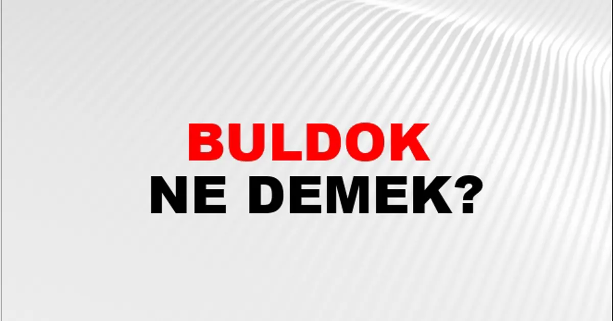 Buldok Eş Anlamlısı - Buldok Kelimesinin Eş Anlamlısı Nedir? | NTV Haber
