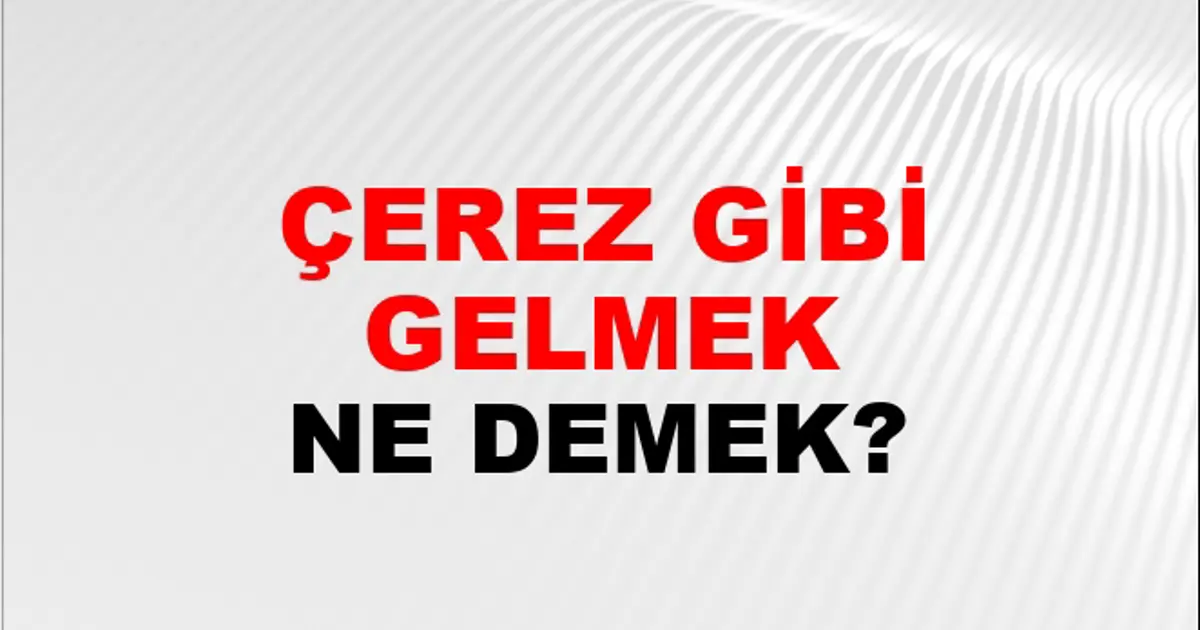 Çerez Gibi Gelmek Ne Demek? Çerez Gibi Gelmek Kelimesinin TDK Sözlük ...