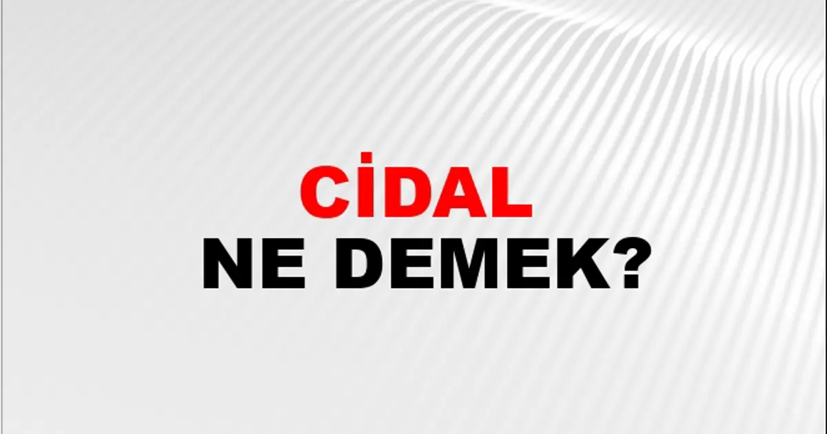 Cidal Ne Demek? Cidal Kelimesinin TDK Sözlük Anlamı Nedir? | NTV Haber
