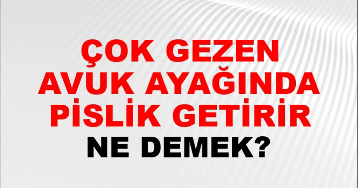Çok Gezen Tavuk Ayağında Pislik Getirir Eş Anlamlısı - Çok Gezen Tavuk ...