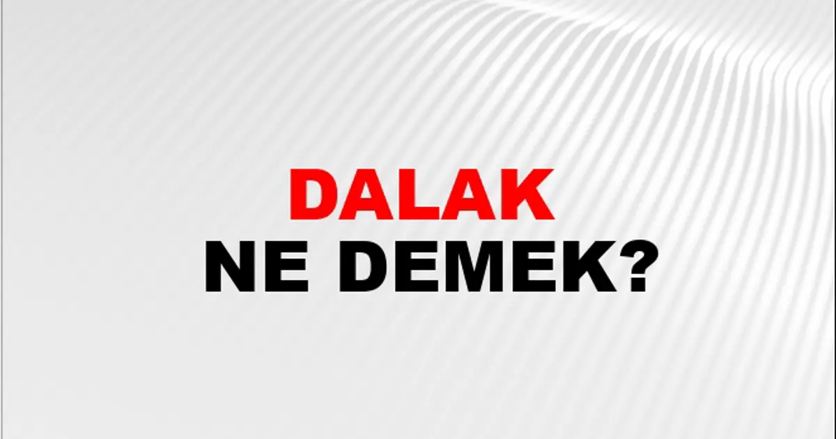 Dalak Ne Demek? Dalak Kelimesinin TDK Sözlük Anlamı Nedir? | NTV Haber
