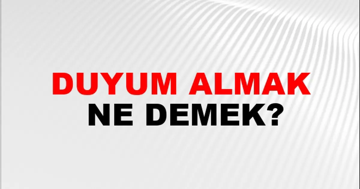 Duyum Almak Nasıl Yazılır? | NTV Haber