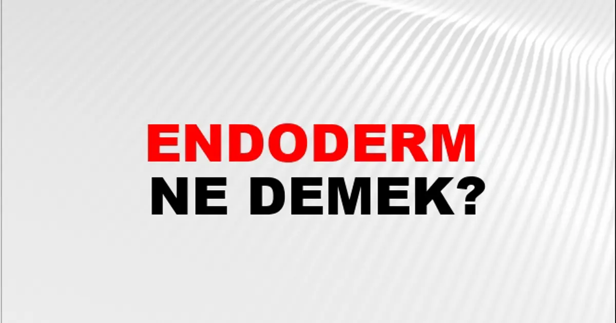 Endoderm Eş Anlamlısı - Endoderm Kelimesinin Eş Anlamlısı Nedir? | NTV ...