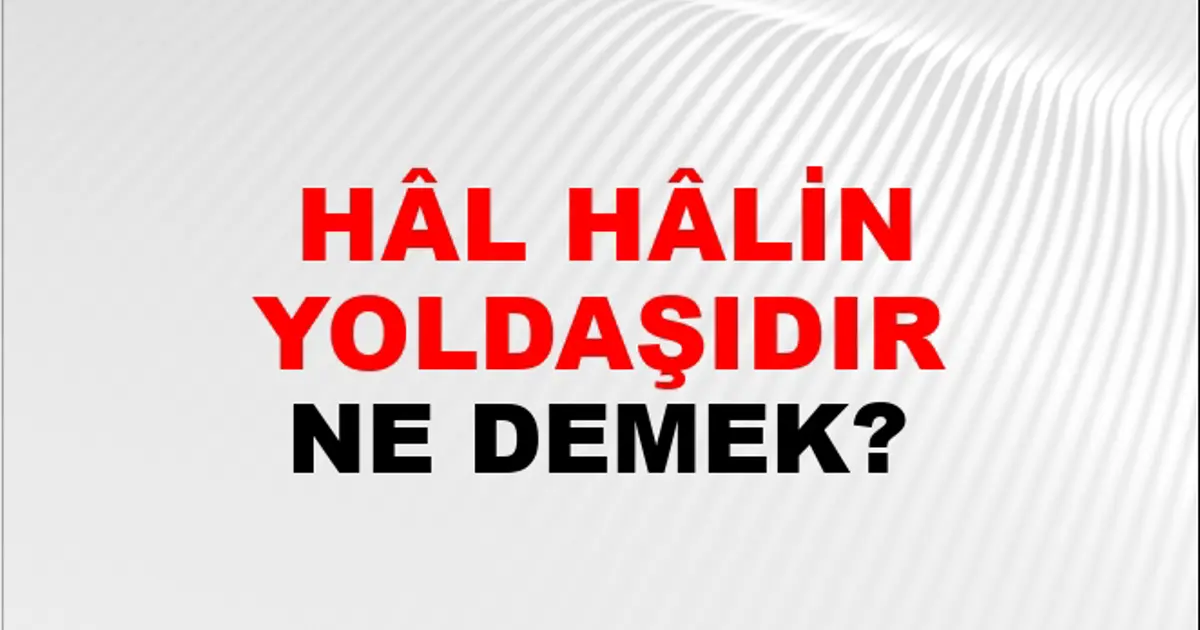 Hâl Hâlin Yoldaşıdır Ne Demek? Hâl Hâlin Yoldaşıdır Kelimesinin TDK ...