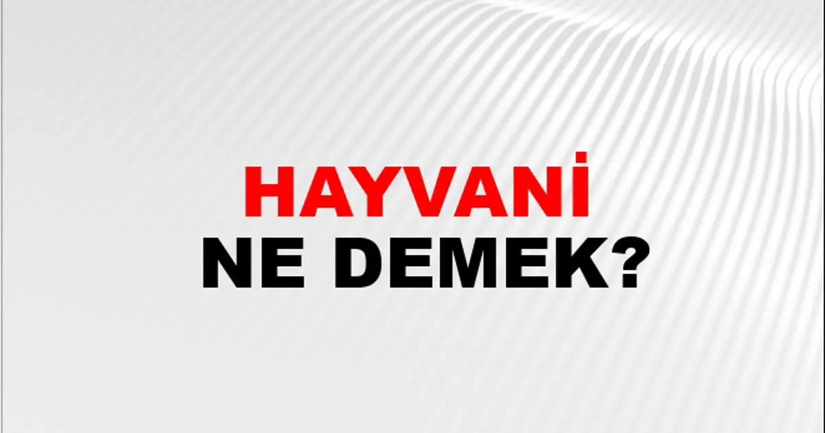 Hayvani Ne Demek? Hayvani Kelimesinin TDK Sözlük Anlamı Nedir? | NTV Haber