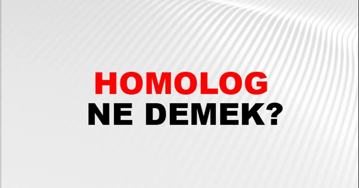 Homolog Ne Demek? Homolog Kelimesinin TDK Sözlük Anlamı Nedir? | NTV Haber