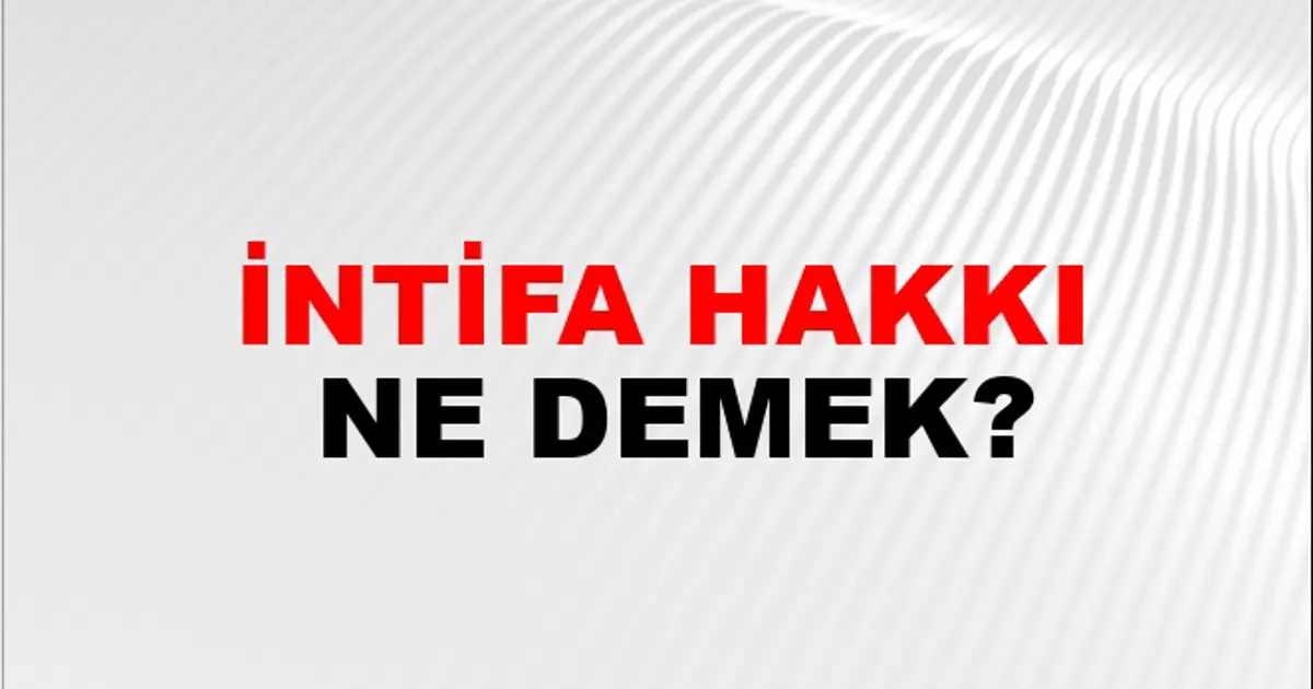 İntifa Hakkı Nasıl Yazılır? | NTV Haber