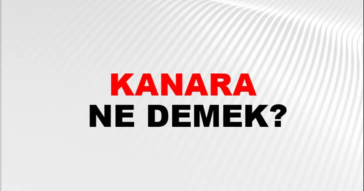 Kanara Ne Demek? Kanara Kelimesinin TDK Sözlük Anlamı Nedir? | NTV Haber