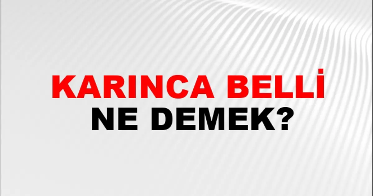 Karınca Belli Eş Anlamlısı - Karınca Belli Kelimesinin Eş Anlamlısı ...