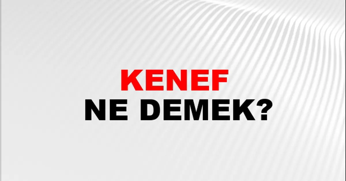 Kenef Ne Demek? Kenef Kelimesinin TDK Sözlük Anlamı Nedir? | NTV Haber