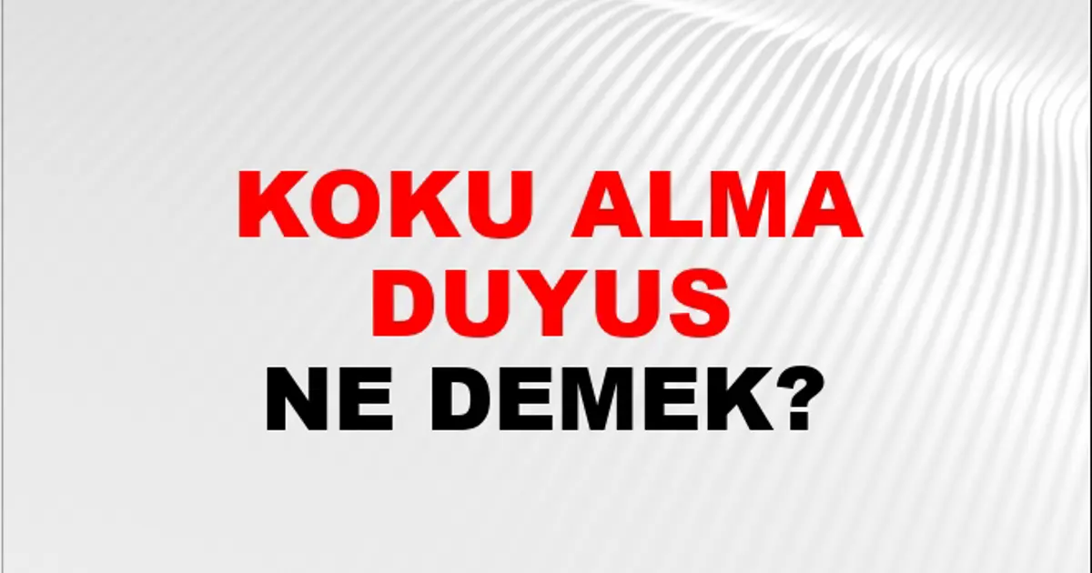 Koku Alma Duyusu Ne Demek? Koku Alma Duyusu Kelimesinin TDK Sözlük ...