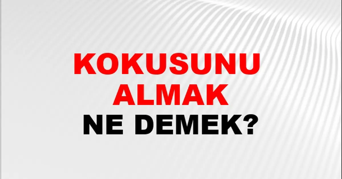 Kokusunu (Veya koku) almak (veya duymak) Ne Demek? Kokusunu (Veya koku ...