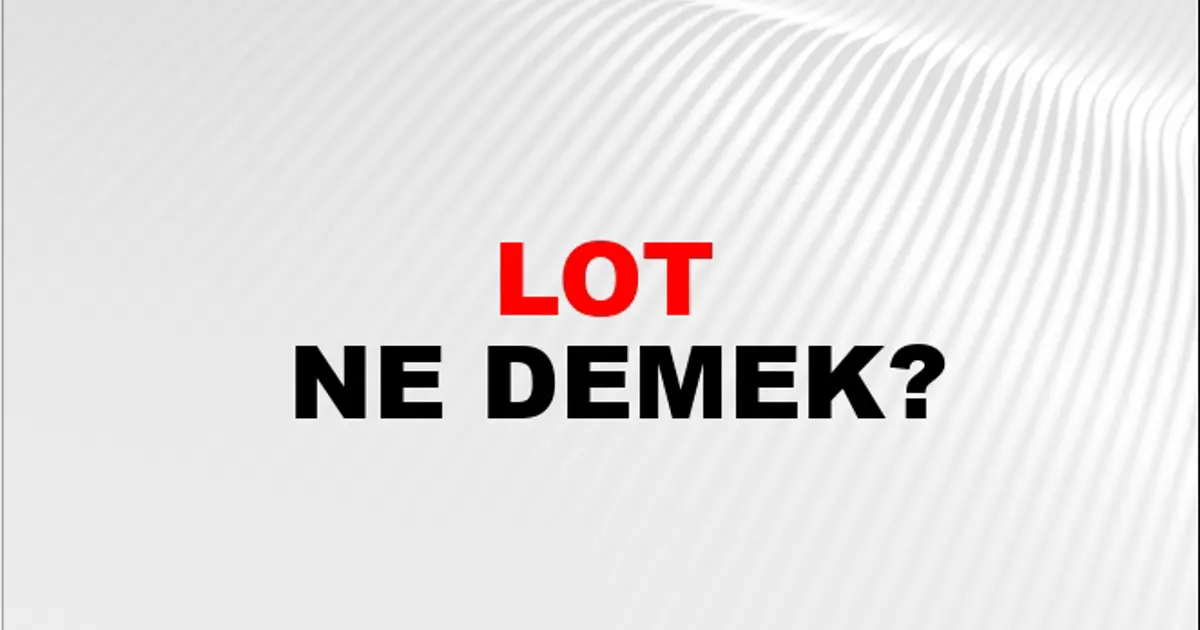 Lot Ne Demek? Lot Kelimesinin TDK Sözlük Anlamı Nedir? | NTV Haber