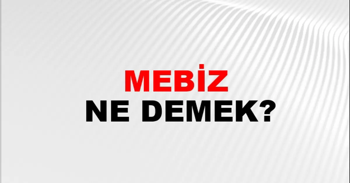 Mebiz Ne Demek? Mebiz Kelimesinin TDK Sözlük Anlamı Nedir? | NTV Haber