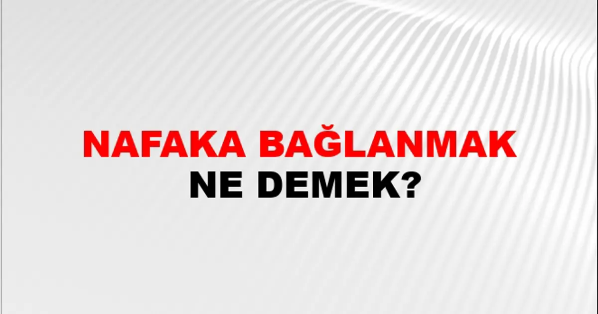 Nafaka Bağlanmak Nasıl Yazılır? | NTV Haber