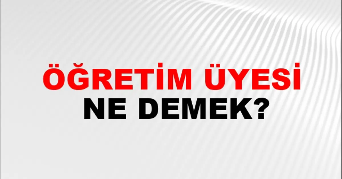 Öğretim Üyesi Nasıl Yazılır? | NTV Haber