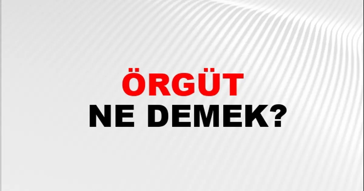 Örgüt Nasıl Yazılır? | NTV Haber