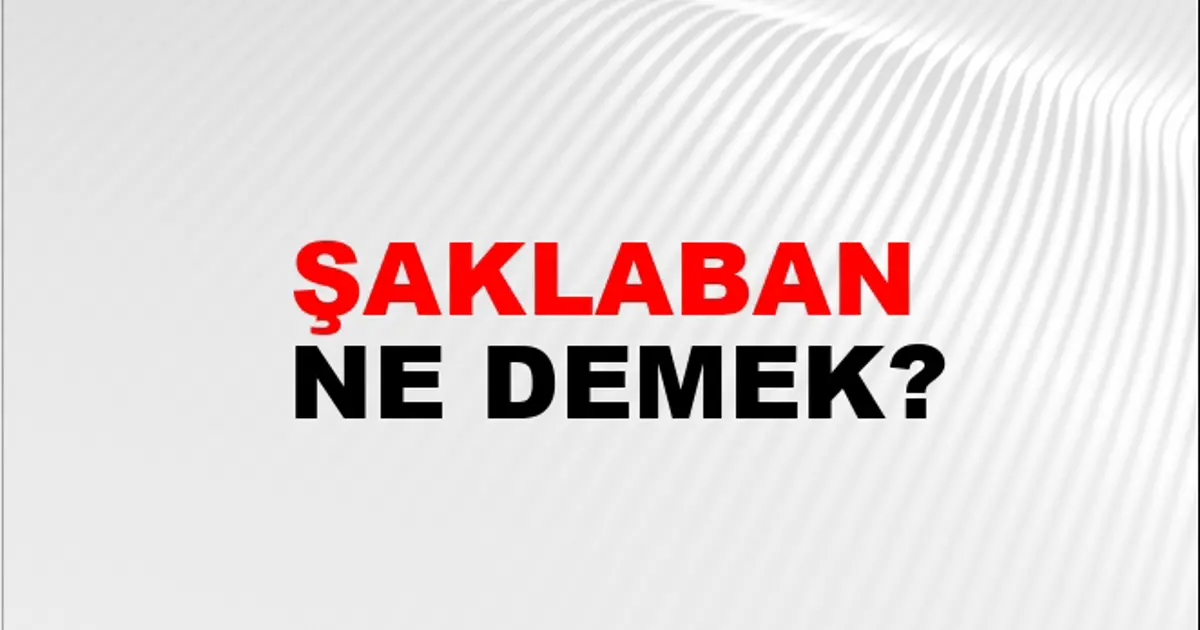 Şaklaban Eş Anlamlısı - Şaklaban Kelimesinin Eş Anlamlısı Nedir? | NTV ...