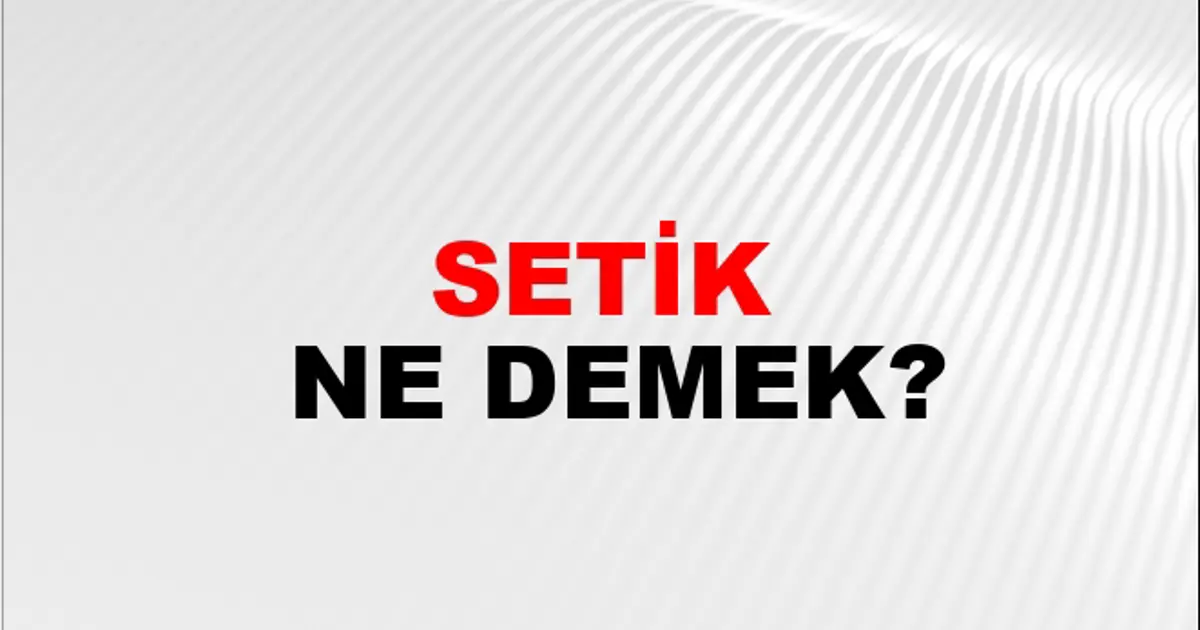 Setik Ne Demek? Setik Kelimesinin TDK Sözlük Anlamı Nedir? | NTV Haber