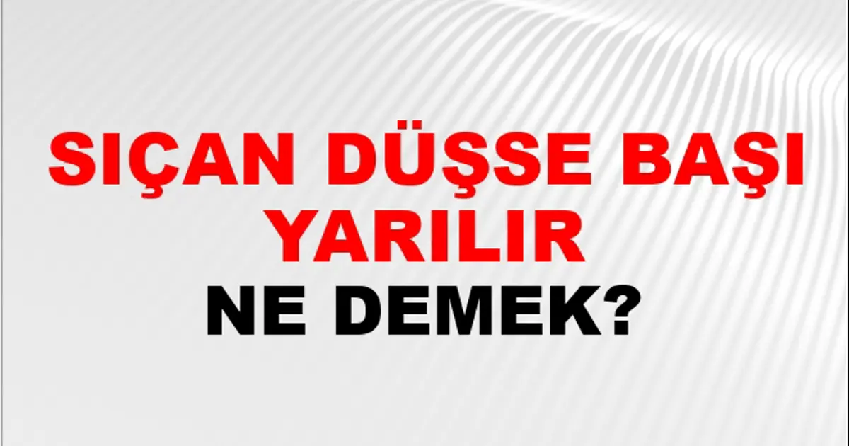 Sıçan Düşse Başı Yarılır Ne Demek? Sıçan Düşse Başı Yarılır Kelimesinin ...