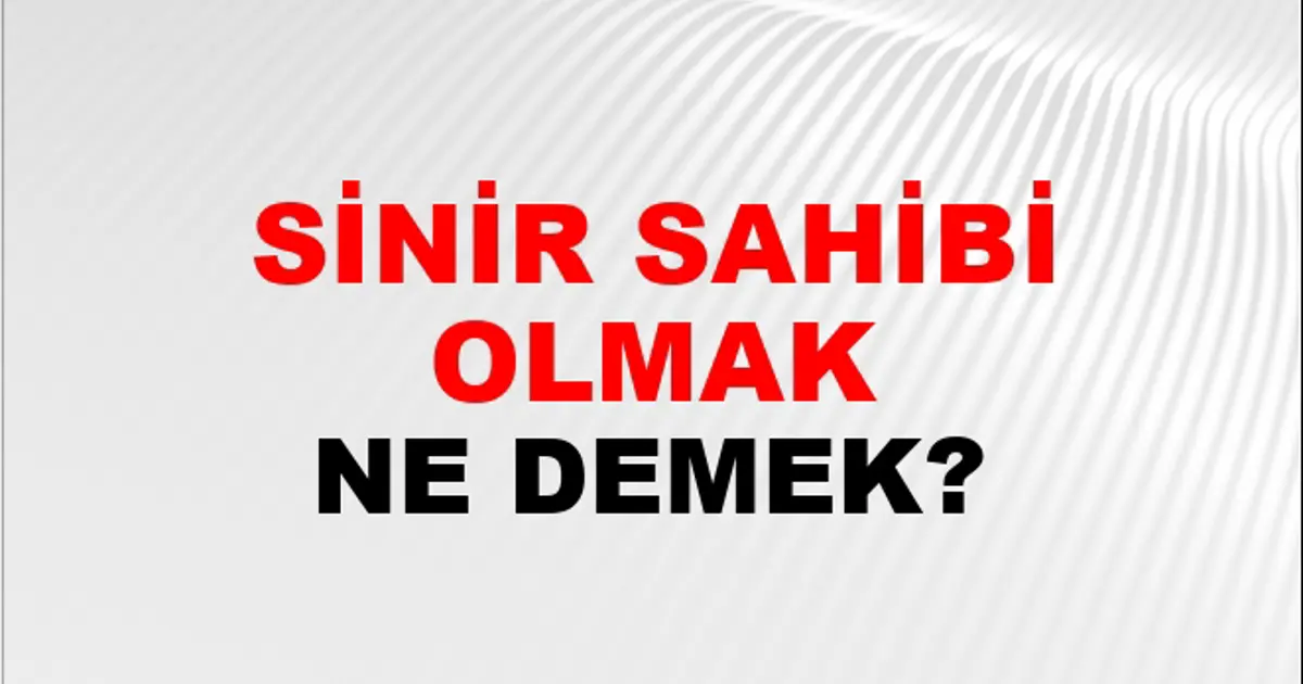 Sinir Sahibi Olmak Ne Demek? Sinir Sahibi Olmak Kelimesinin TDK Sözlük ...
